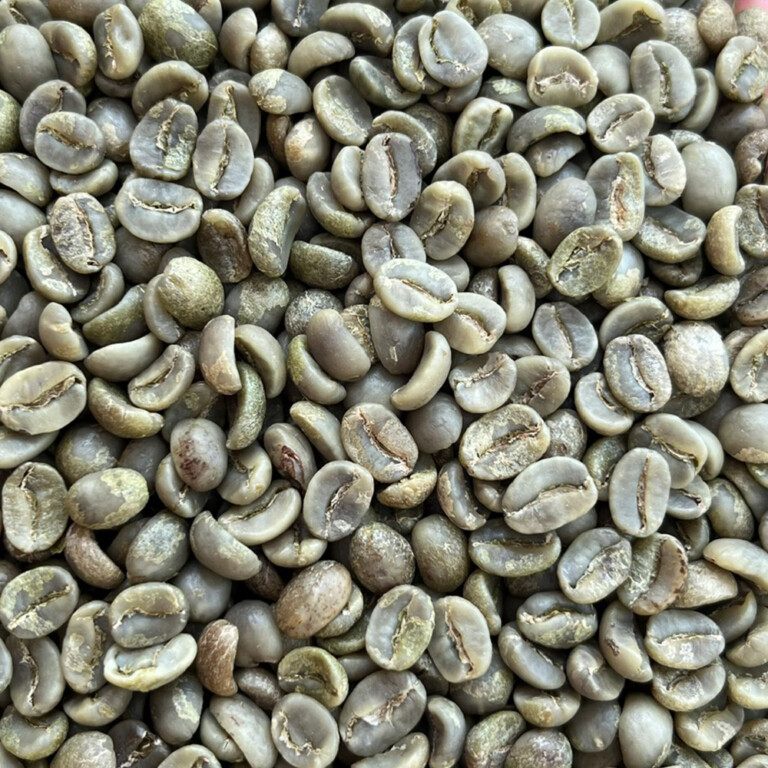 Arabica Green Bean Coffee - Pull's Coffee